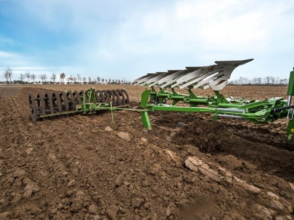 Plug Amazone Cayros - Inter Agrar